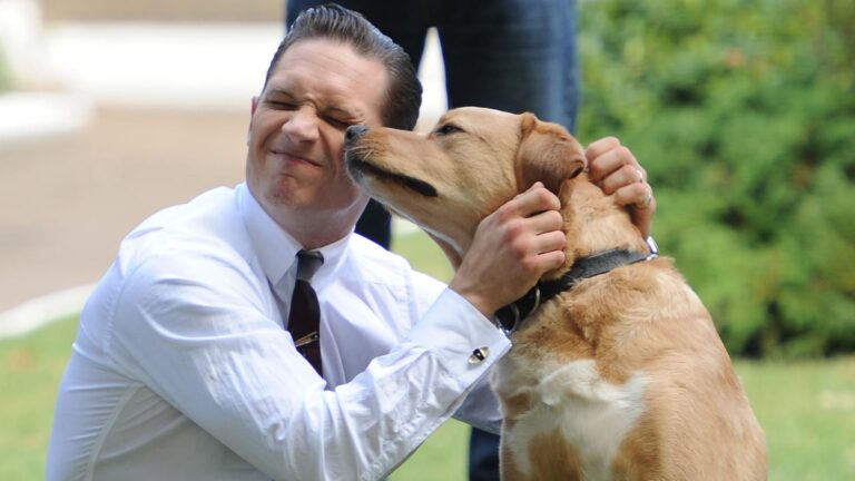 Tom Hardy and His Dog Woody: A Rescued Love Story That Stirred Millions