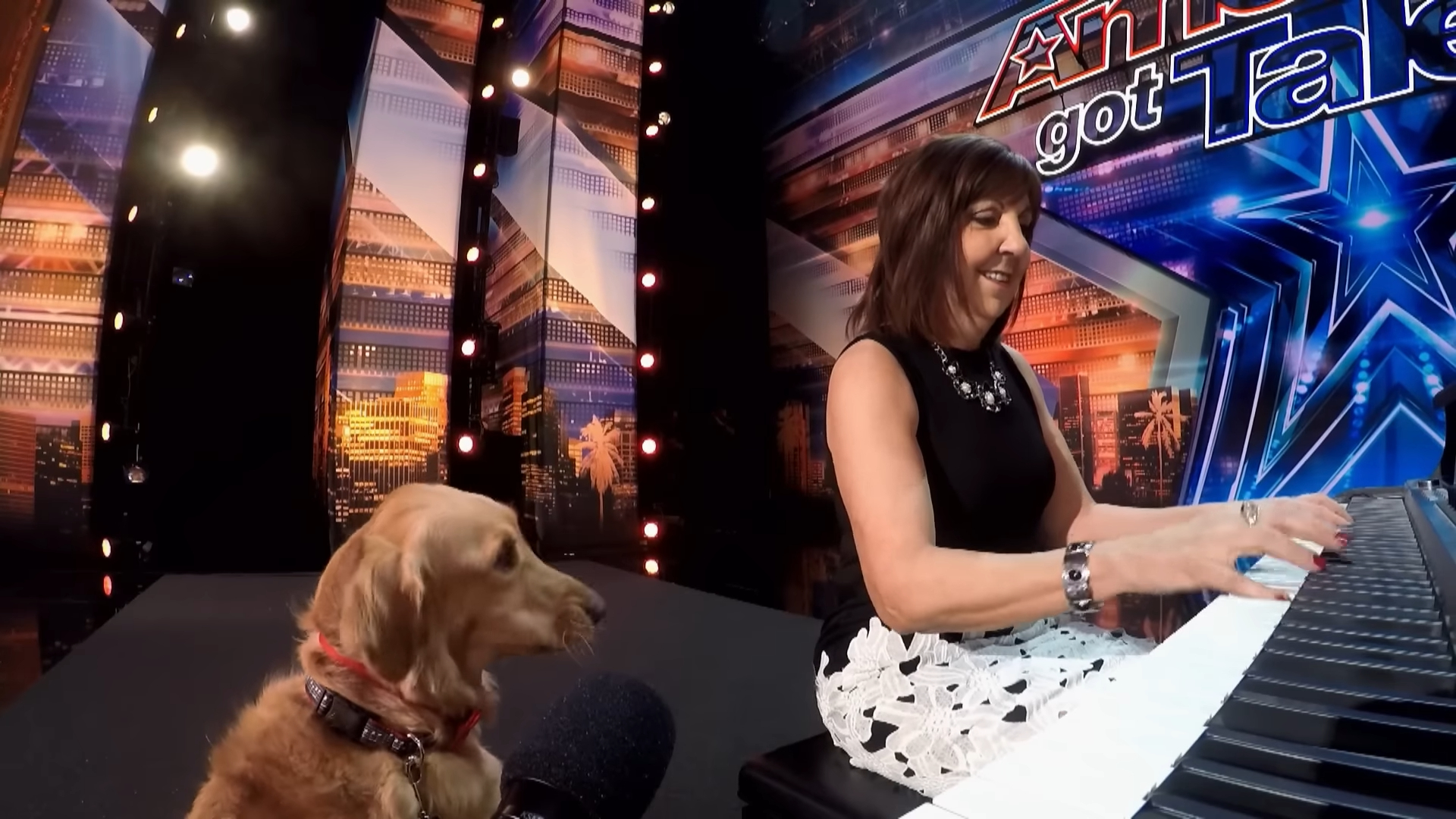 Oscar the Singing Dog: The Viral AGT Audition Simon Cowell Loved